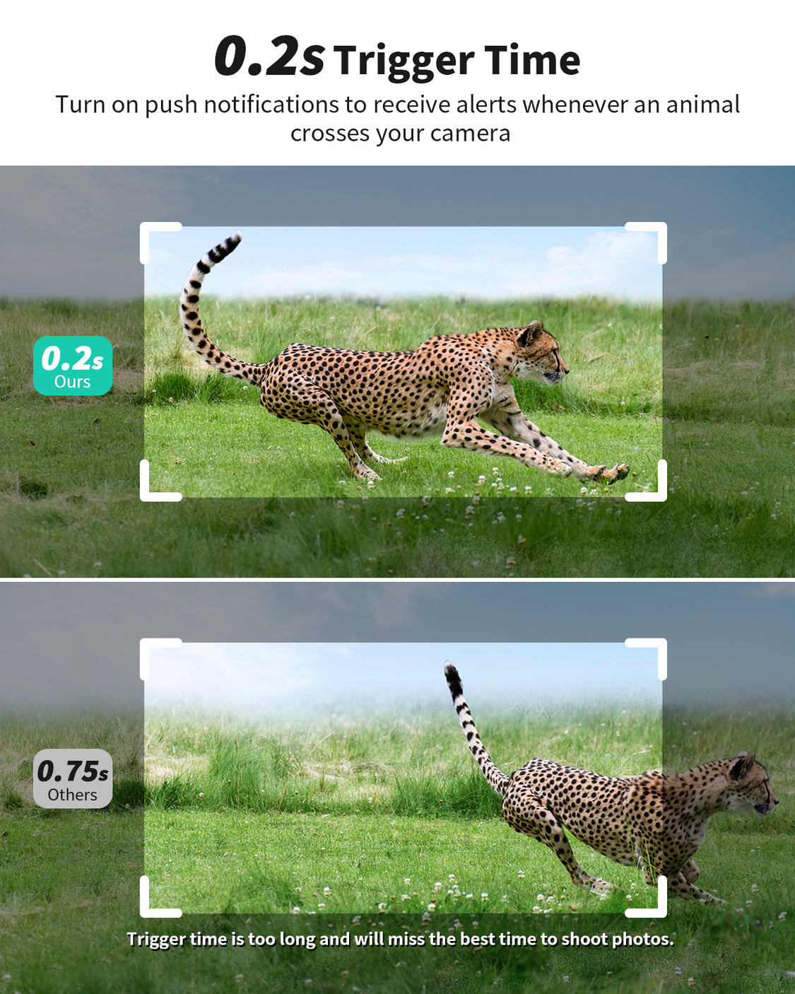 4G LTE 2.7K Live Cellular Trail Camera（HC14） – SEHMUA Direct